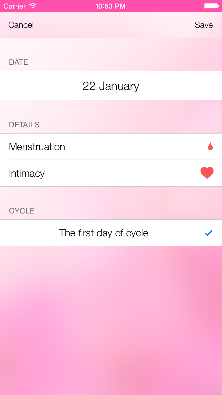 Menstrual Calendar Pink – Anastasia Kovba